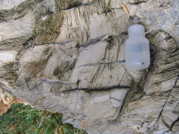 Dunia Geologi Dunia Berbagi Ilmu.: GEOLOGY STRUKTUR