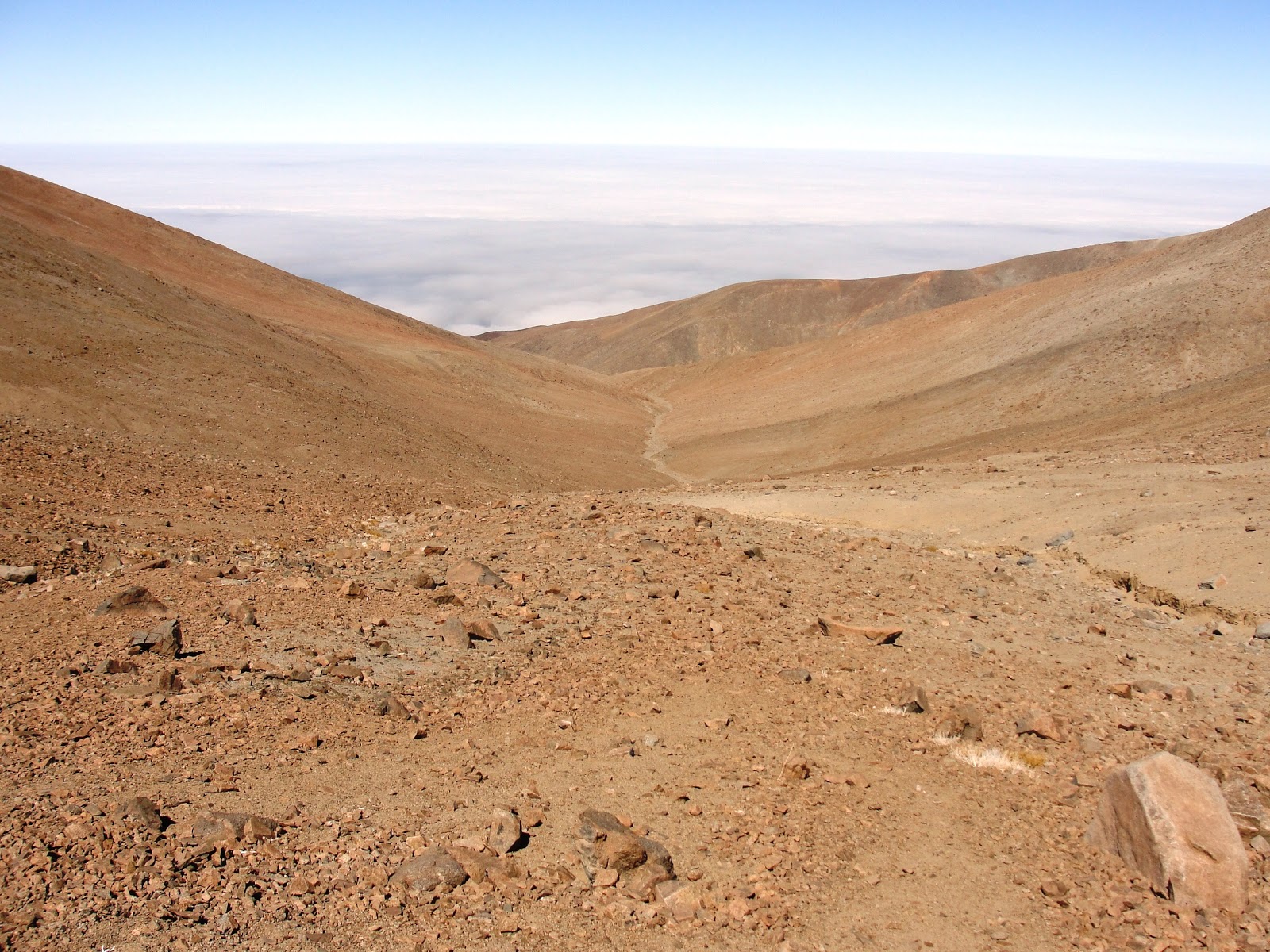 Caminantes del Desierto: QUEBRADA EL MÉDANO, EL ARTE EN LAS ROCAS