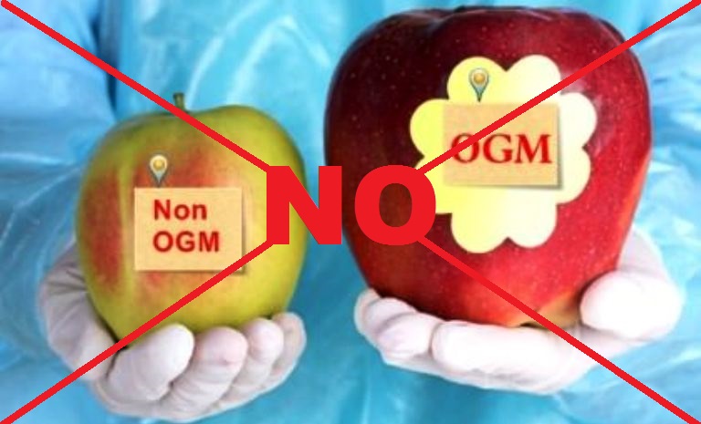 Lente Alimentare: Chi ha paura degli OGM?