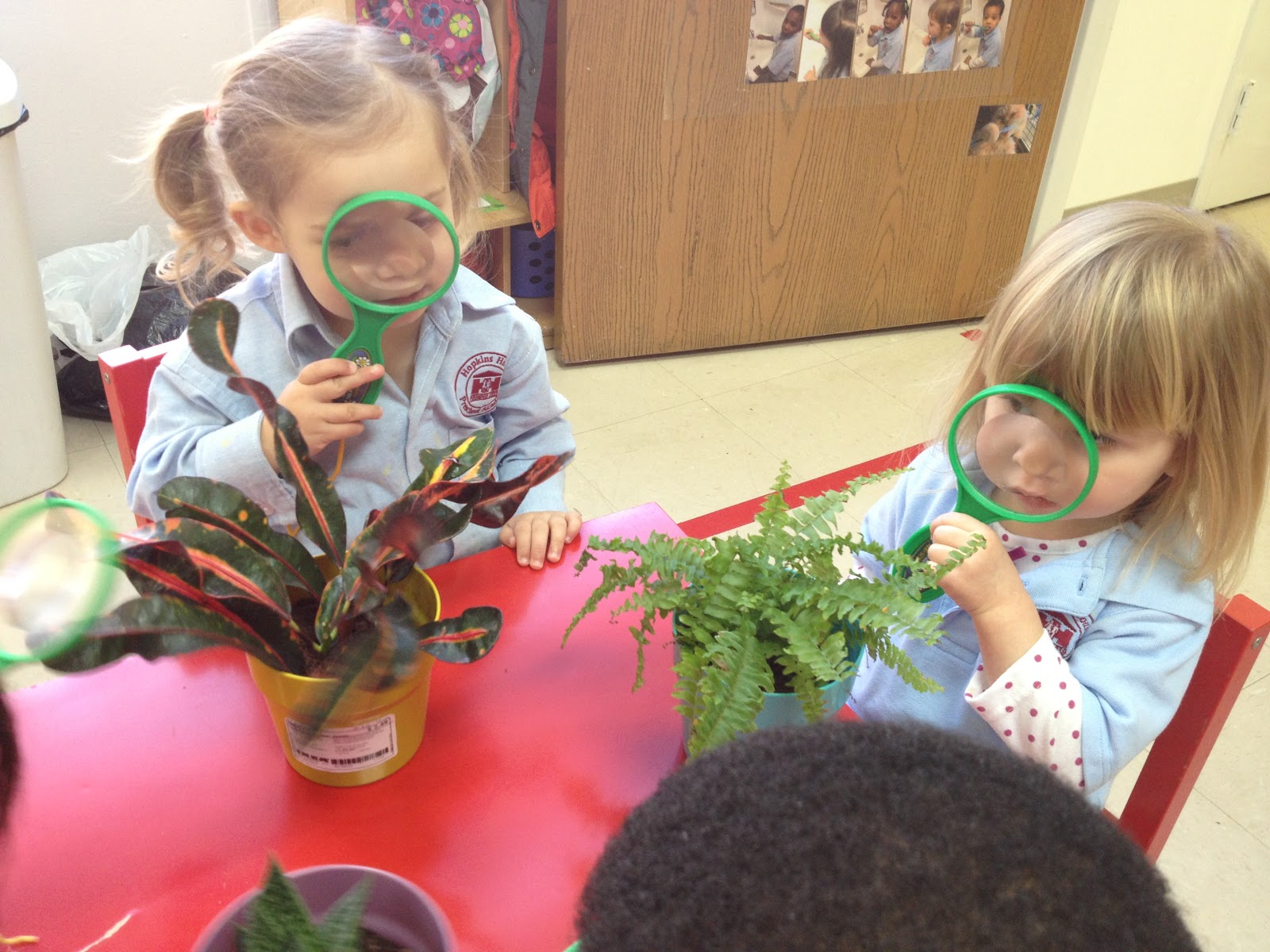 HH Preschool Class Reflections: Science: Exploring Plants