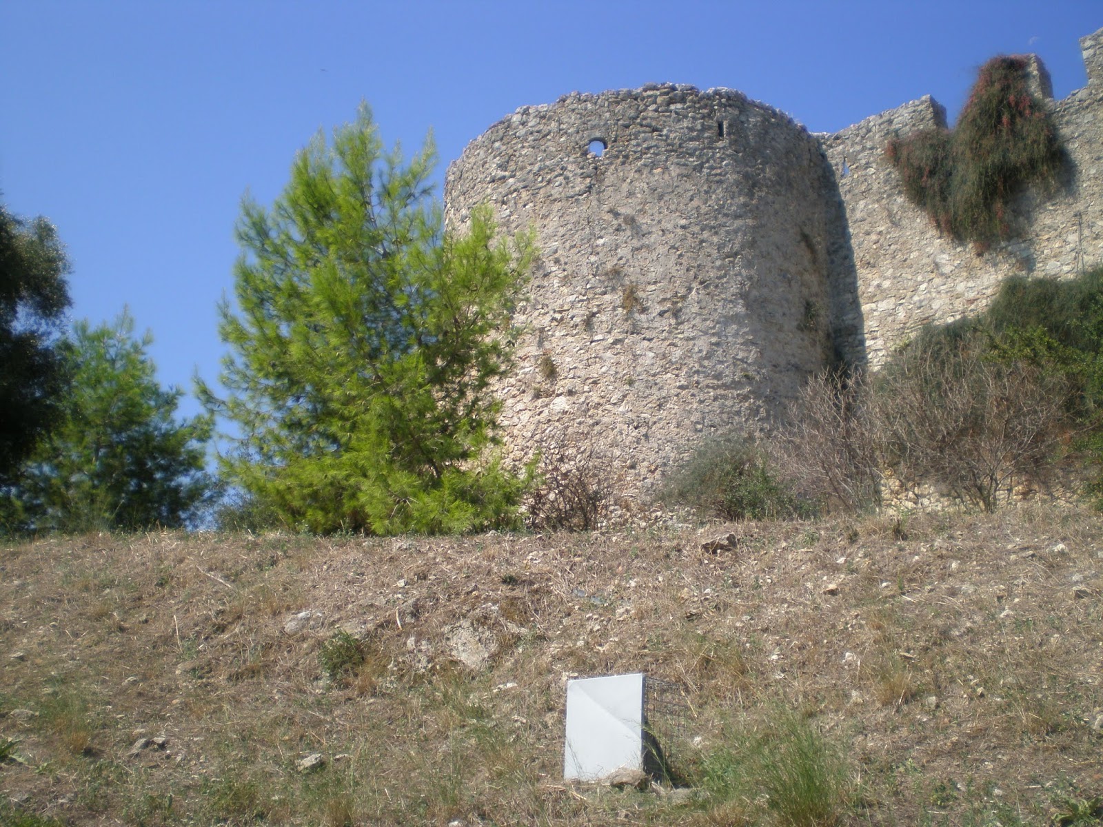 Hellenic Flag Hellenic Foundation ΙΔΡΥΜΑ ΕΛΛΗΝΙΣΜΟΥ: Η ΕΠΙΣΤΗΜΟΝΙΚΗ ...