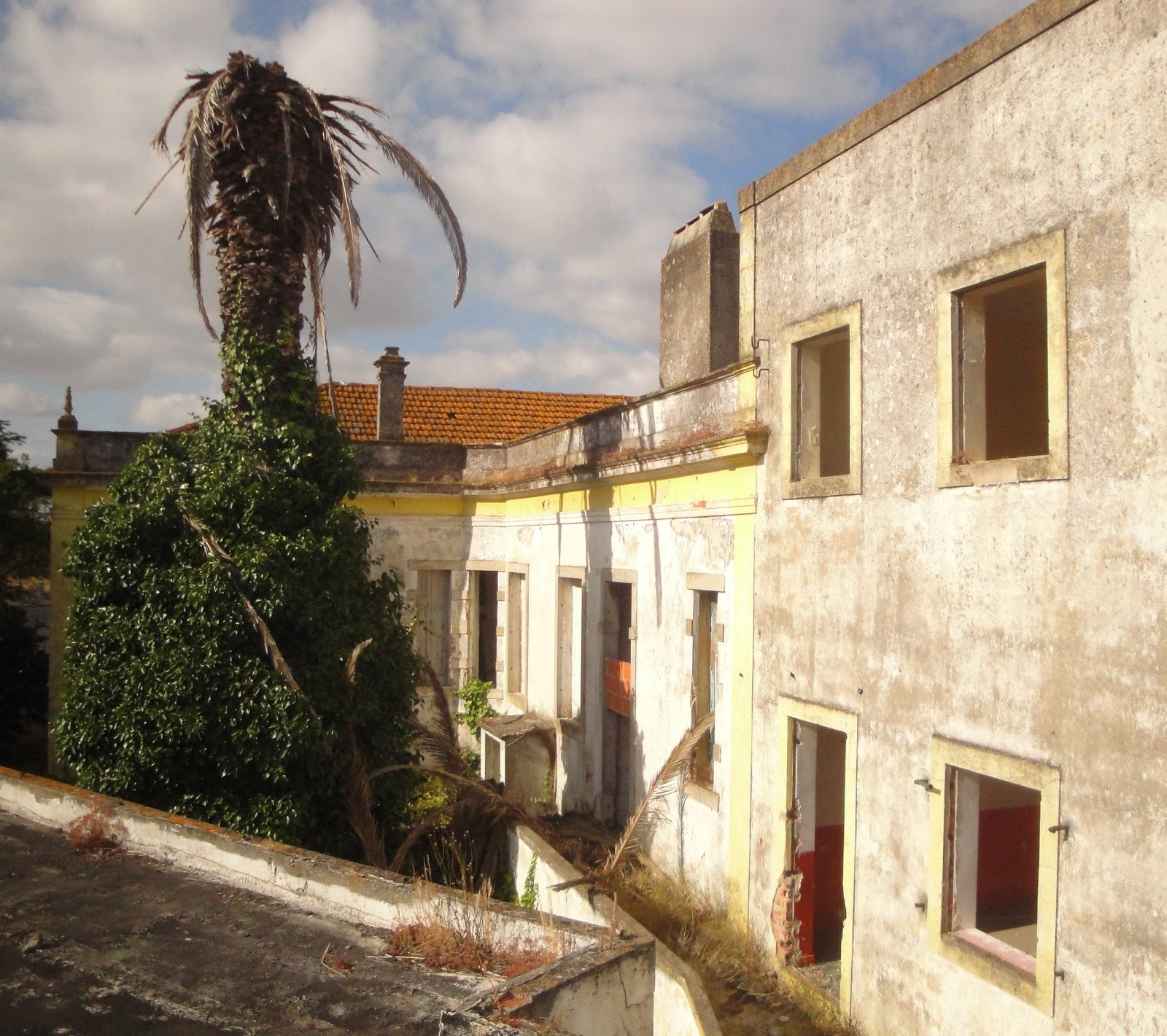 Montijo e Tanto Mar: O Asilo