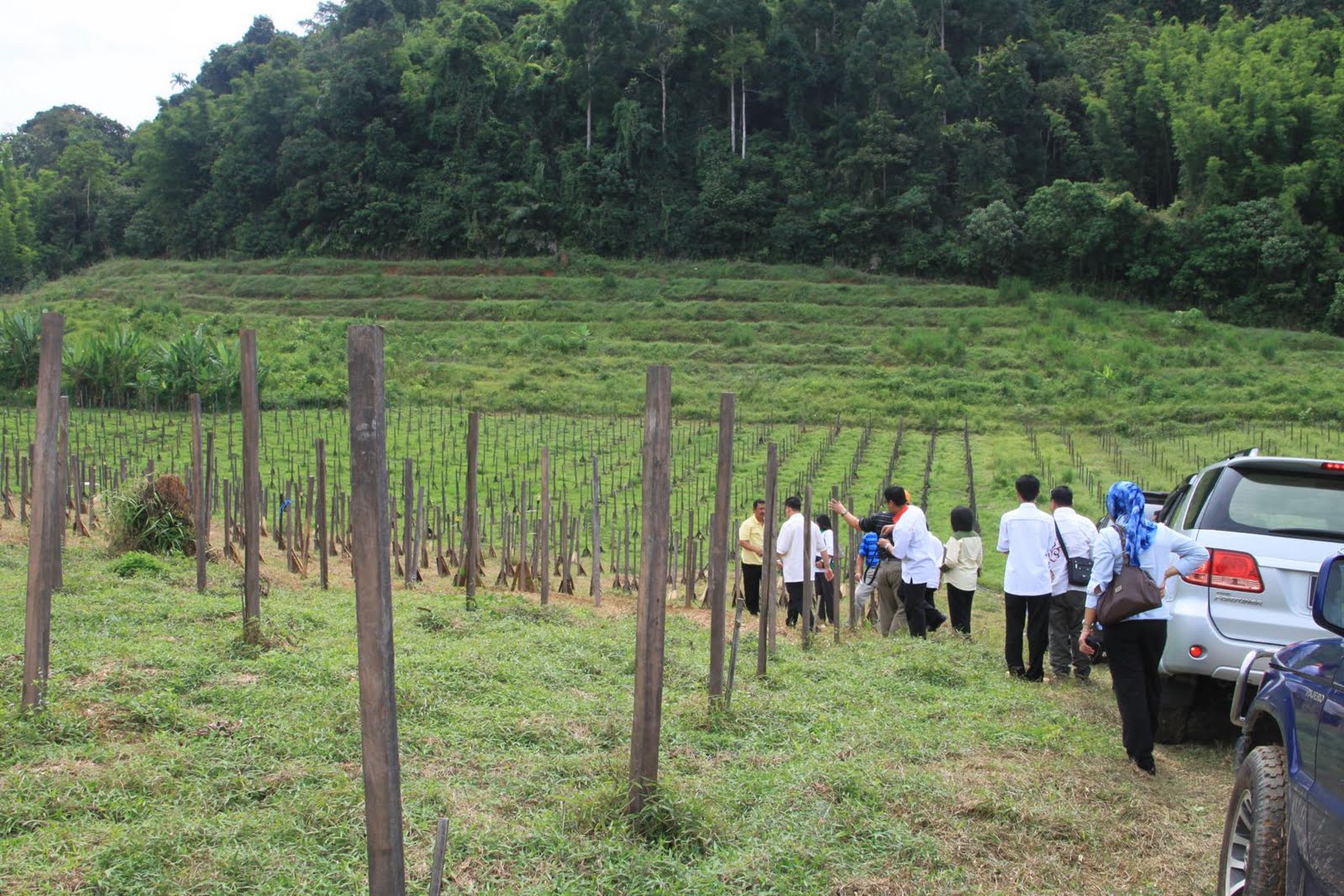 YB DATUK MOHD TAJUDIN ABDULLAH: Lawatan ke Ladang Lada Hitam/Putih oleh ...