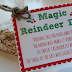 The Pink Lantern: Magic Reindeer Dust Recipe with Printable Tag