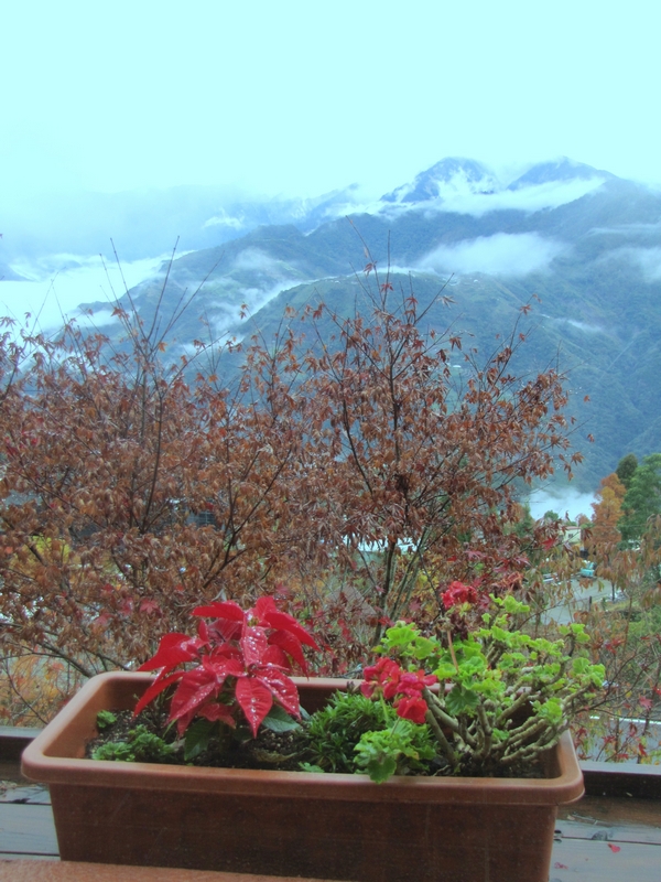 Puli, Wushe & Cingjing Farms, Taiwan (浦里/霧社/情境农场)