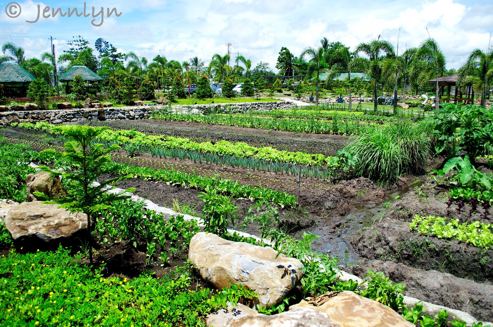 Destination Philippines: The Park and the Farm at May's Organic Garden