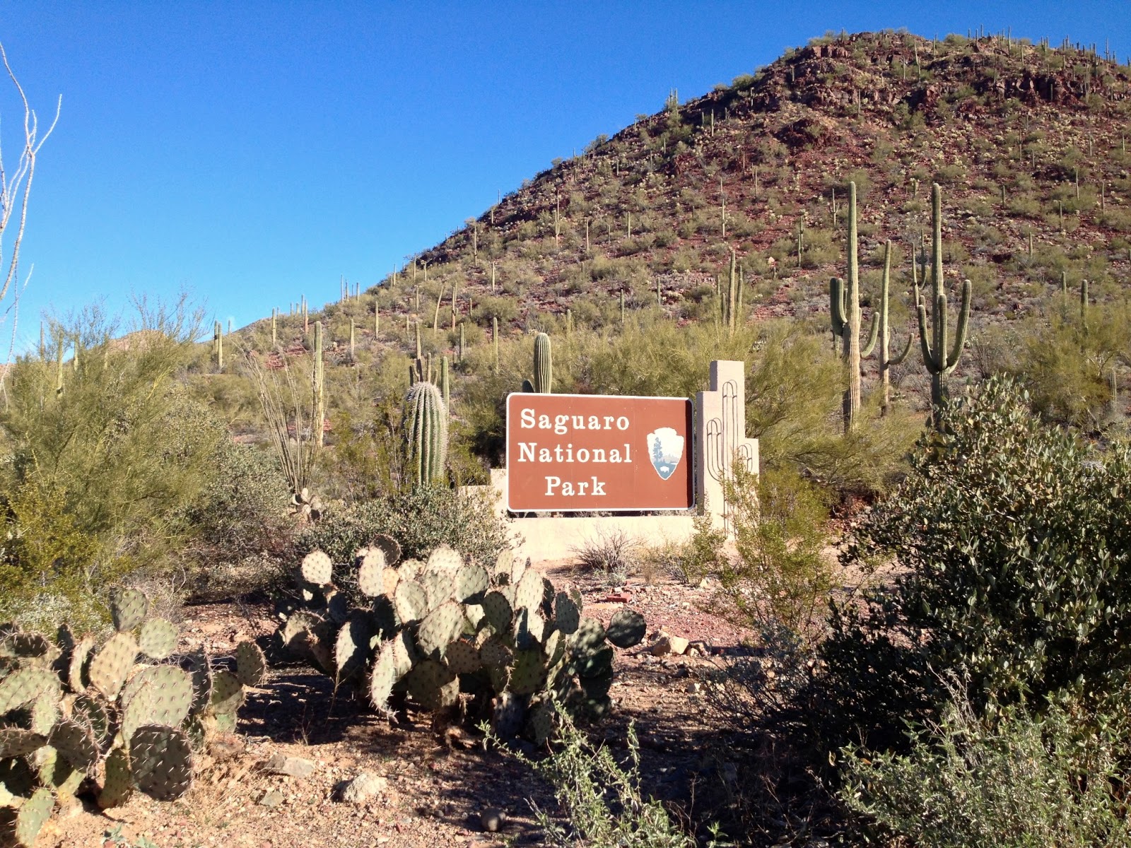 Hike the World: Saguaro National Park: West: Hugh Norris Trail
