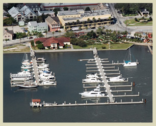 More Voyages of the Cornucopia