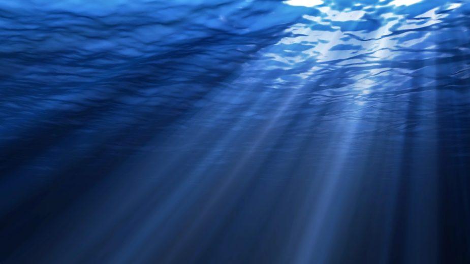 Portal do Mar: Investigadores do Porto exploram recursos do Mar profundo