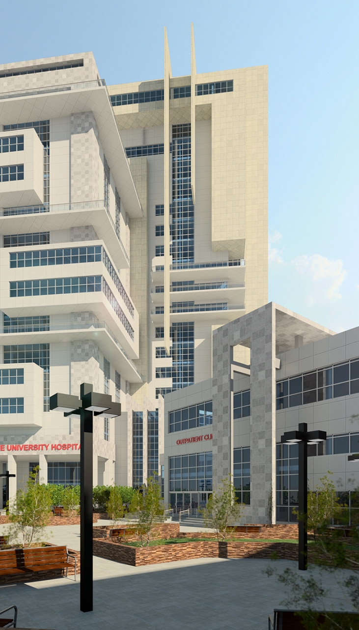 Multidisciplinary and educational hospital - Architecture Design ...