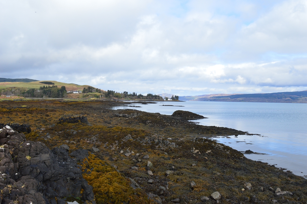 Louise Dawson Design