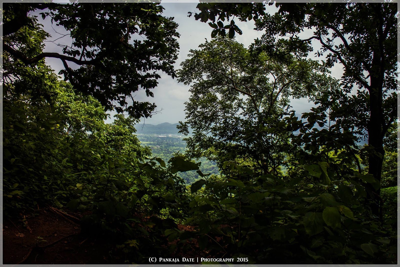 Field Clicks: Two Wheels to Karnala ......