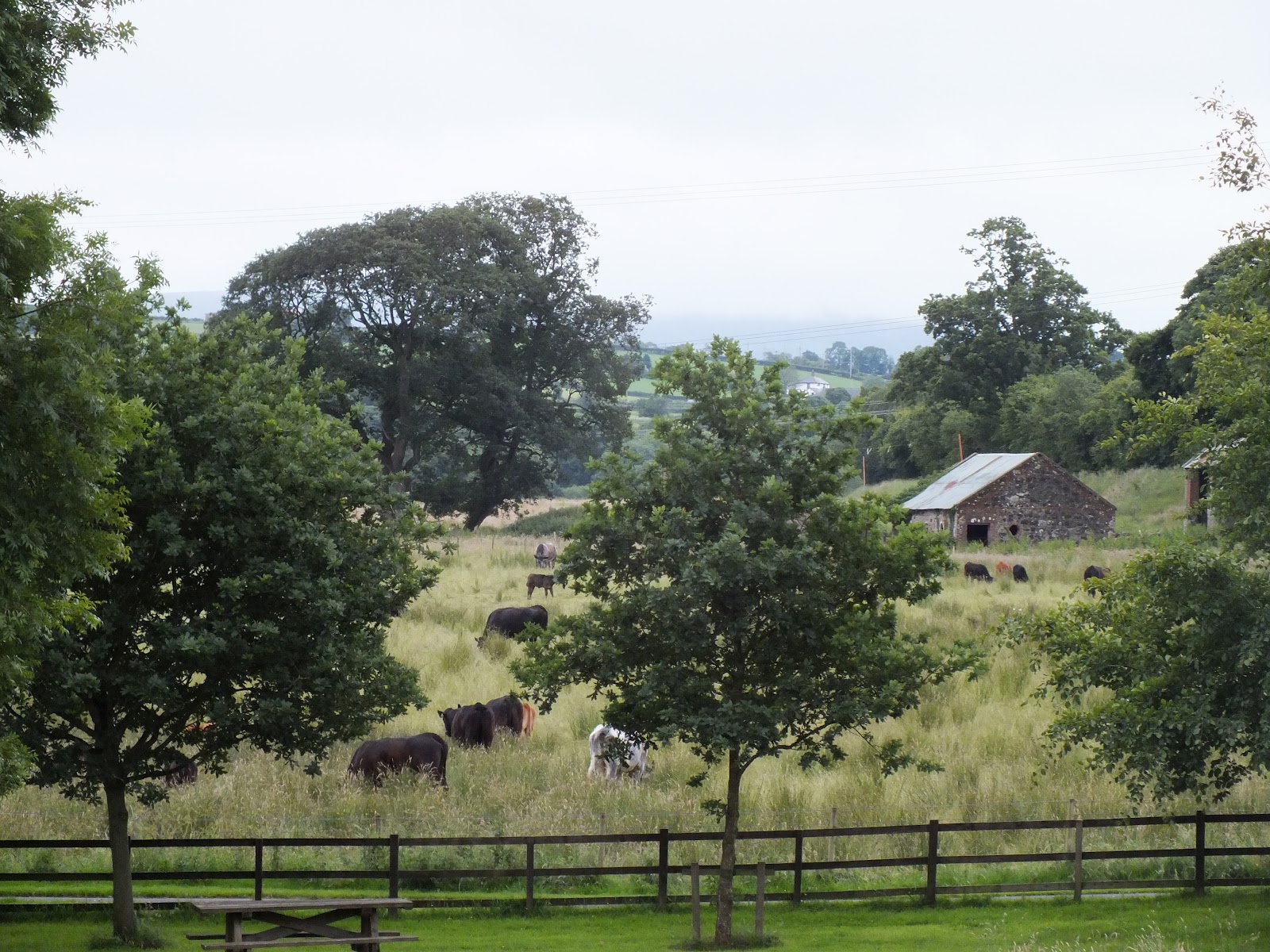 straythreads: Legends and Leprechauns Ireland