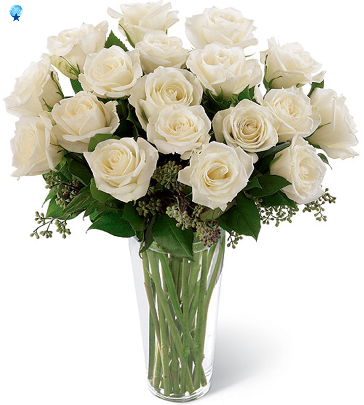 HD Flowers: White roses | Flowers | Rose | White Bunch Rose | Blooms