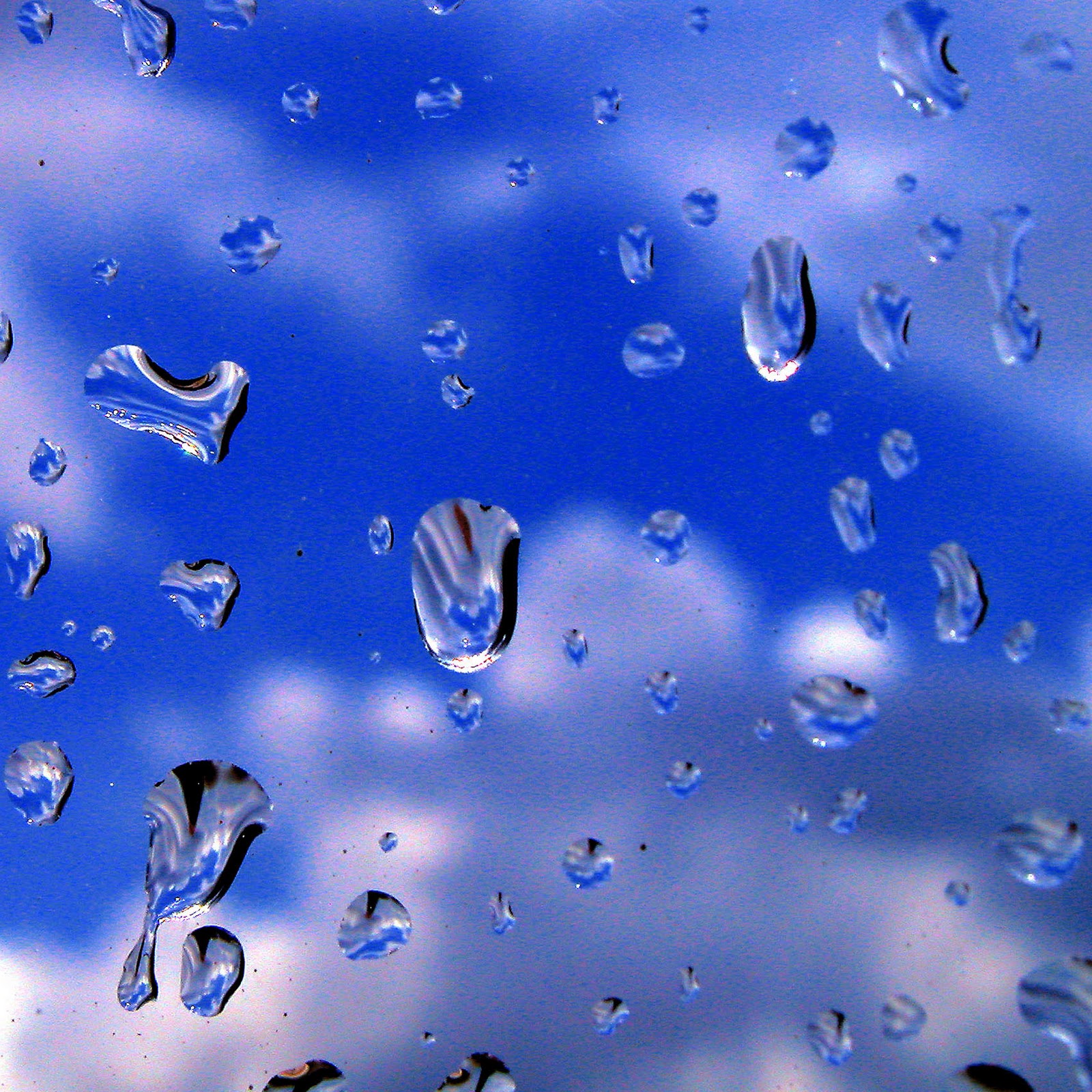 Questioning Science: Water, Water Everywhere...