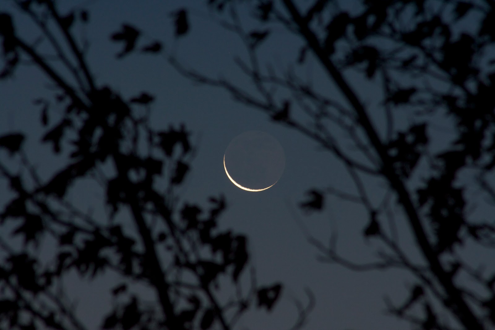 Free Creative Commons Moon Photos (Royalty Free) [Stellar Neophyte ...