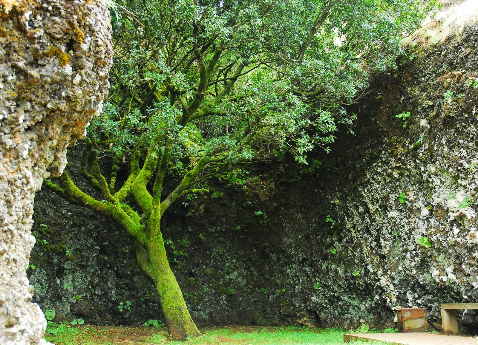 El Hierro una isla por descubrir: Garoé