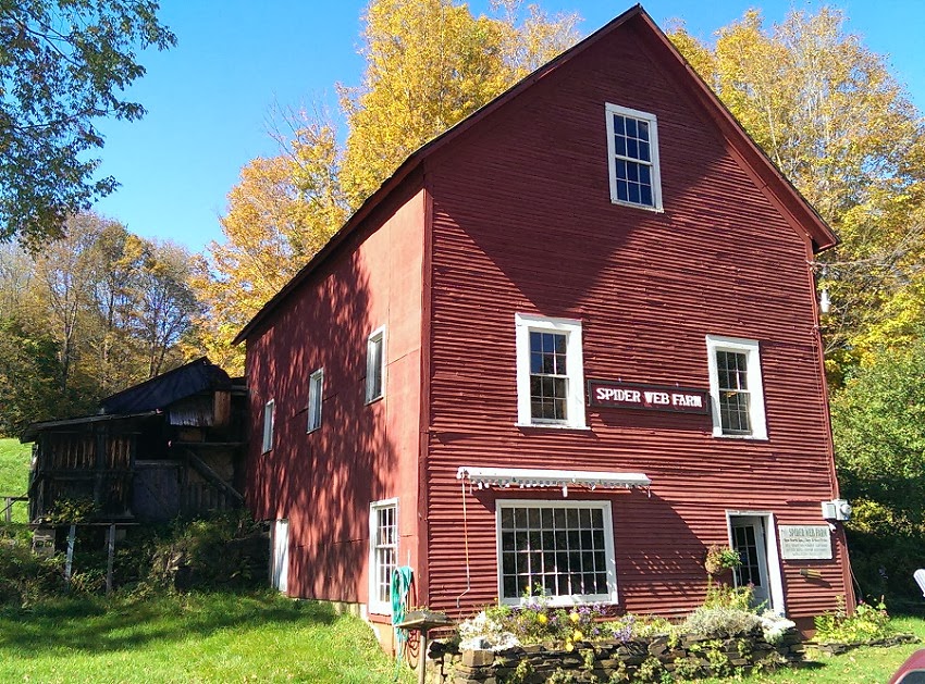 OTIS (Odd Things I've Seen): The Old Man and the Spider: Knight’s ...