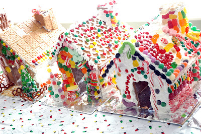 Backyard Farming: Ginger-bird house