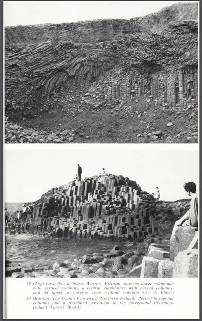 Casey Cardinia - links to our past: Columnar Basalt at Narre Warren North