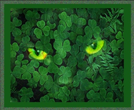 Fate and Faith: 2013-03-17