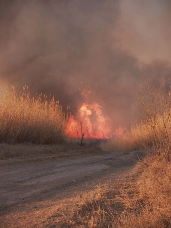 Terlingua Dreams: Fire at Moody Ranch