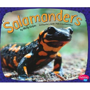 Kinder Days....: The Salamander Room FIAR Unit Study