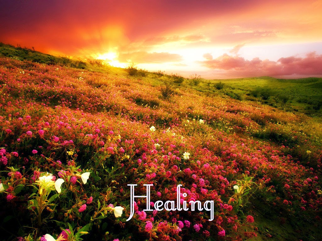 eZ Gluten-Free Life: The Healing Process