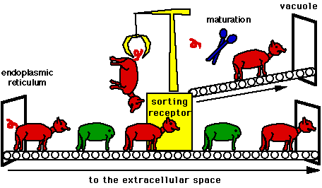 Alogaritma: Teknik Sorting Dan Searcing