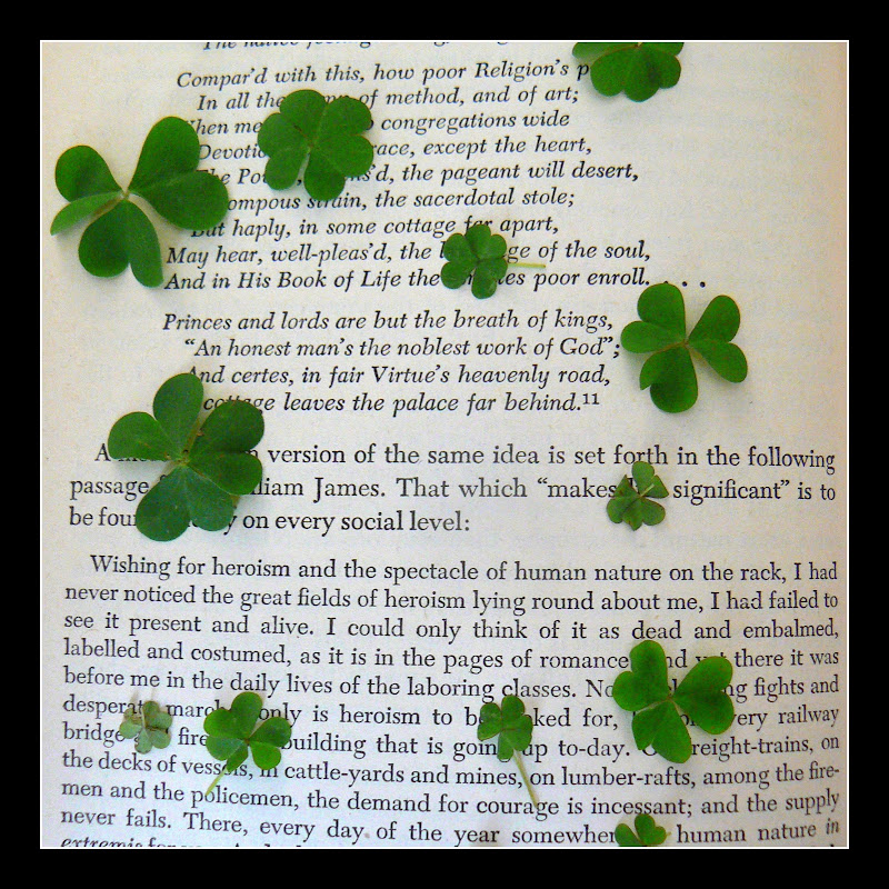 Having Fun at Home: Pressing Clover for St. Patrick's Day