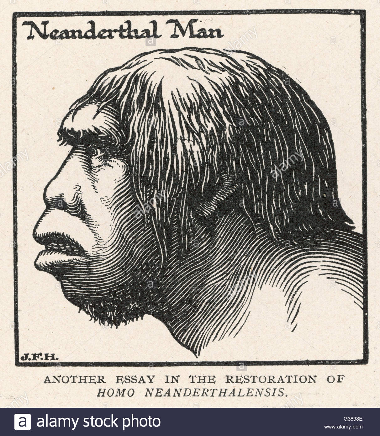 Scopes Trial: Essential Reference For Bigfoot Researchers