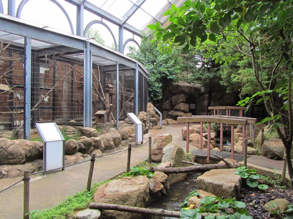 Zoos in Japan: Kobe Oji Zoo