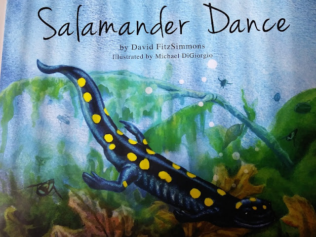 Reviewed By Sam: Salamander Dance Children's Book Review