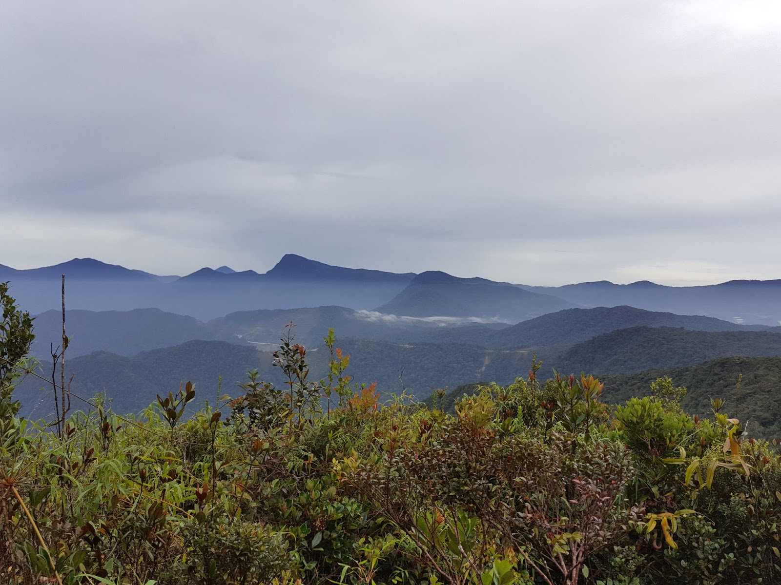 My SweeT JouRNeY 2 ReMeMBeR: Gunung Suku / Mount Suku, Cameron Highlands