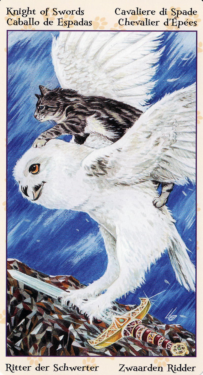 Starlight Tarot: Tarot of Pagan Cats