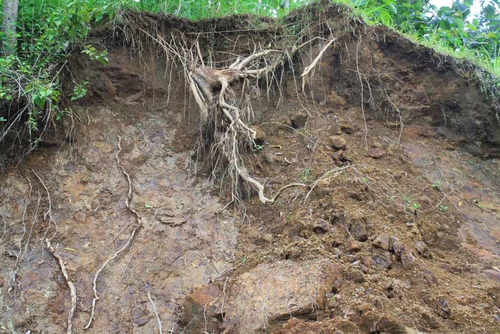 PENYEBAB TERJADINYA EROSI - AGRONOMI UNHAS