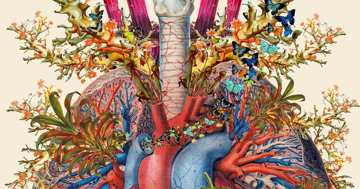 SylK's Playground: Anatomy By Travis Bedel