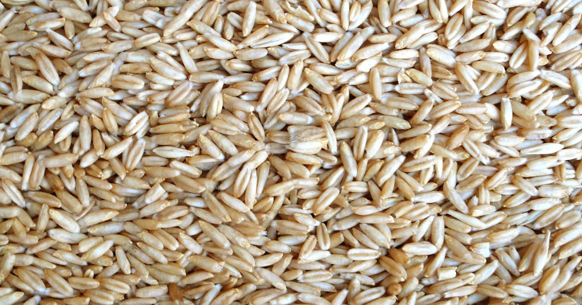 Lexikon Opobchodu: Oves bezpluchý