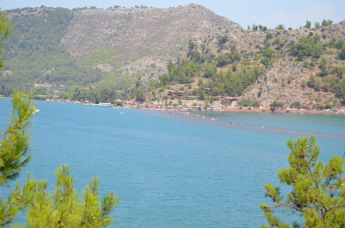 Intercultural communication Blog created by Dr. Ghada Awada