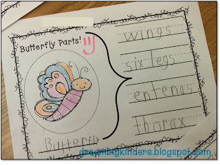 Dream Big Kinders: Butterfly Life Cycle - Nonfiction Reading Comprehension