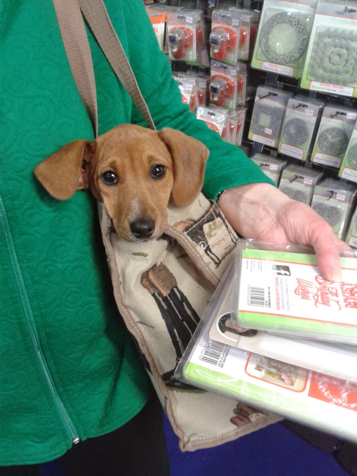 A Passion For Cards: King's Hall craft show, Belfast