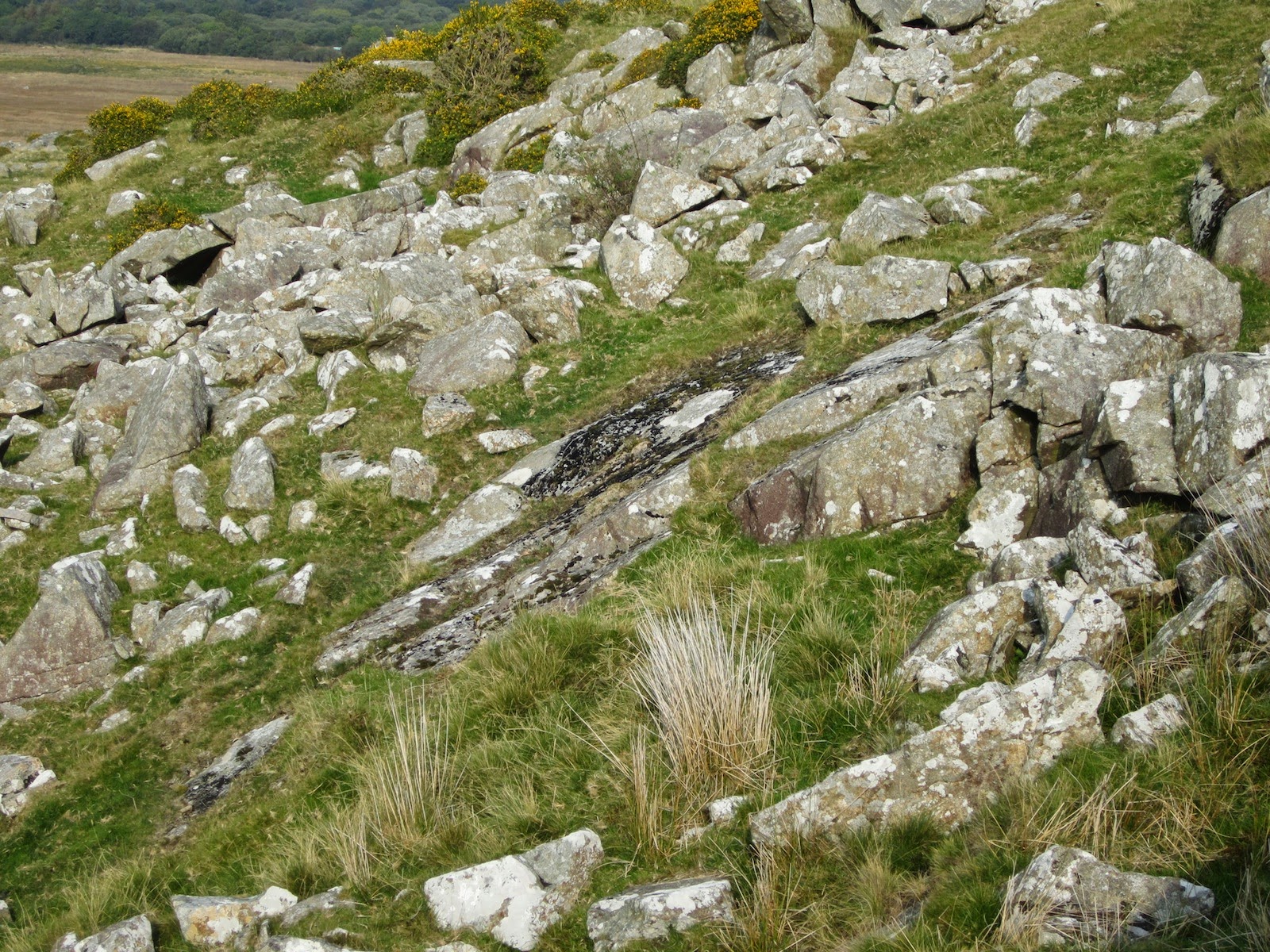 Stonehenge and the Ice Age: Glacial features on the Carn Goedog sill ...