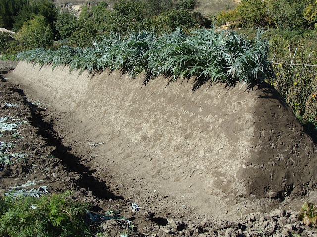METIDO EN JARDINES: Productos autóctonos: Cardo rojo de Ágreda