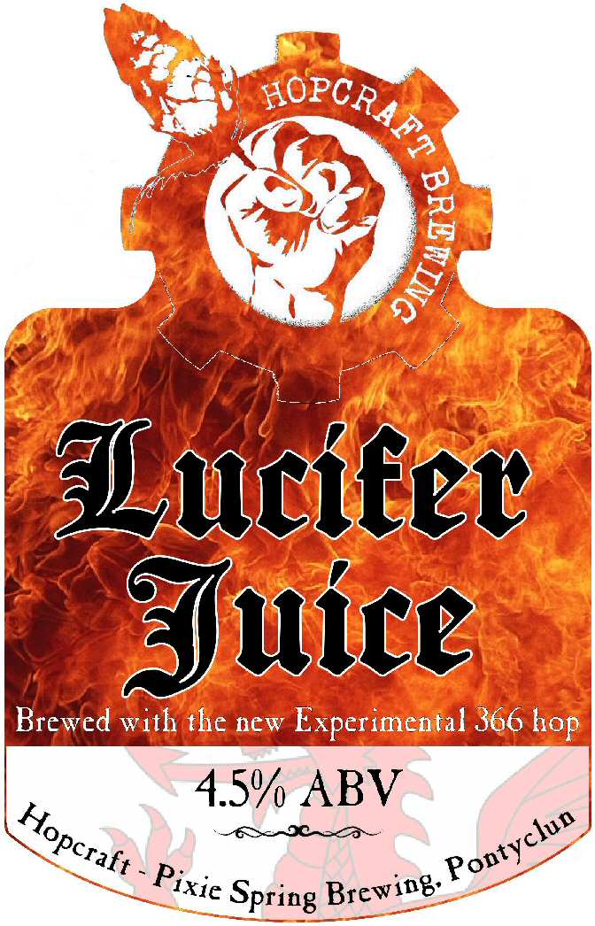 Hopcraft Brewing: June 2013