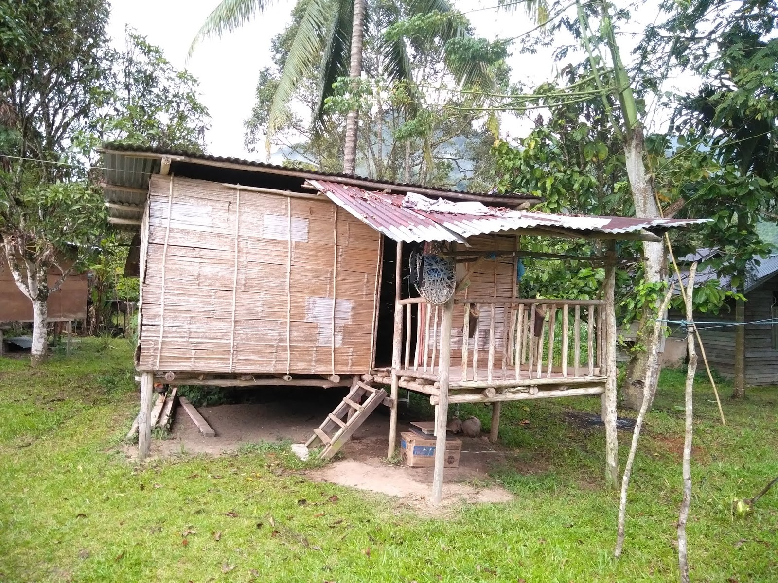 Rumah Buluh Orang Asli Semai Cameron Highlands