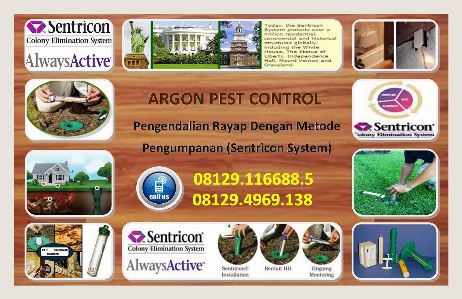 UMPAN RAYAP SENTRICON | 08129.4969.138