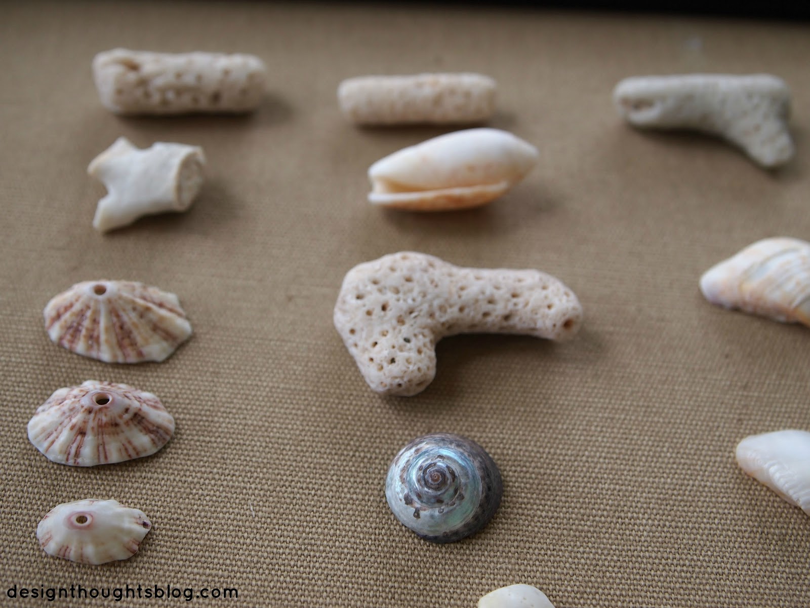 DIY : Vacation Shadow Box {Shells!} - Design Thoughts STUDIO