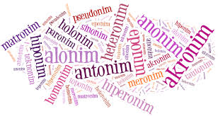 CONTOH SINONIM DAN ANTONIM DAN CONTOH KALIMATNYA
