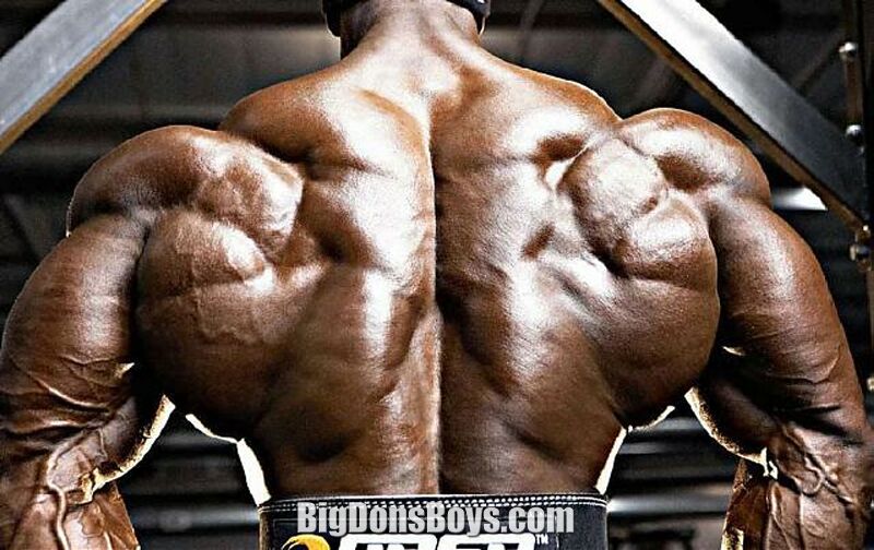 Knights of Bodybuilding: JOEL STUBBS 2
