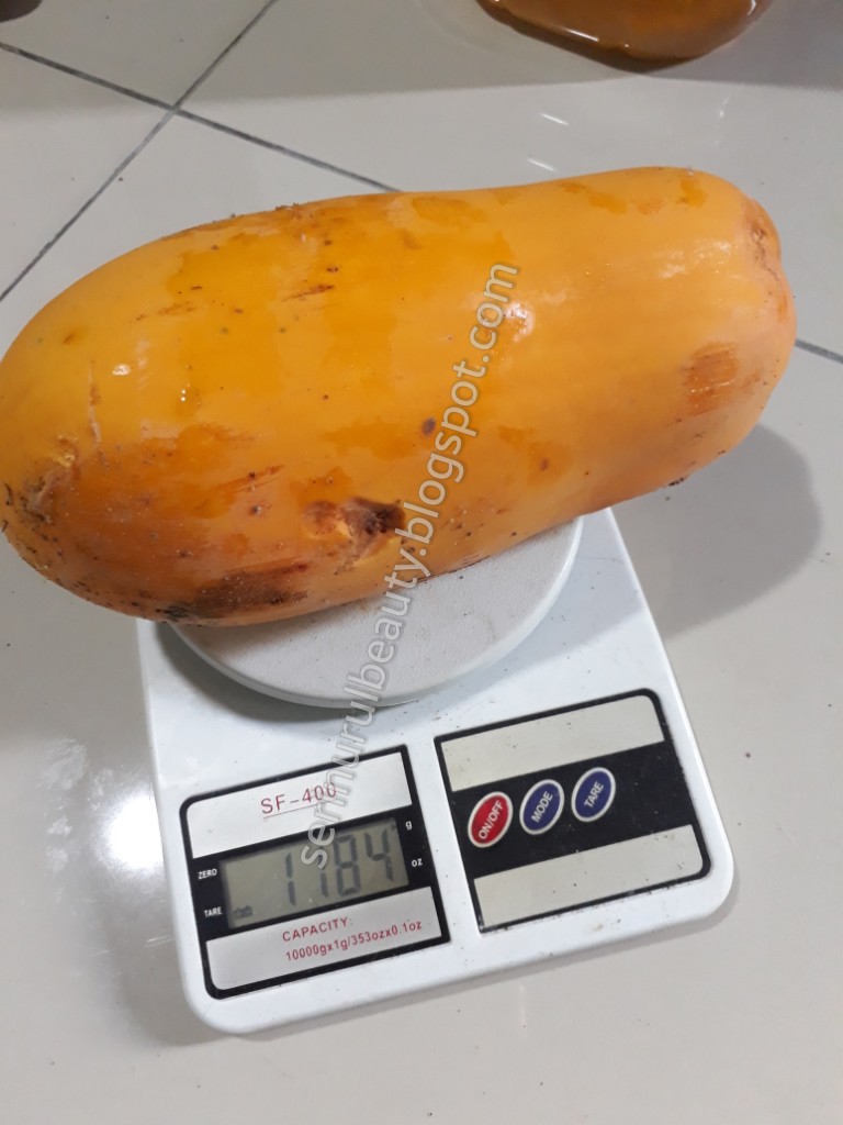 Healthy Nurul Beauty: 5 unit of my organic papaya harvest for today.